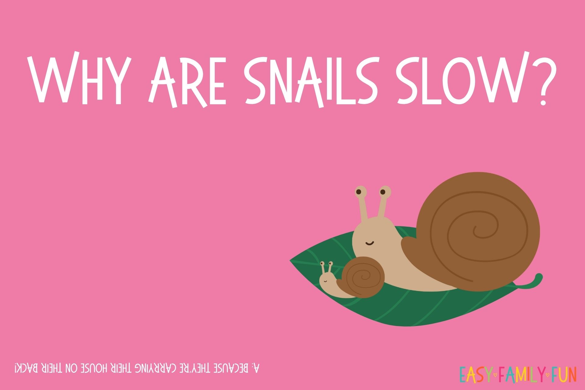 275+ Family-Friendly Jokes for Kids [Guaranteed Laughter!]