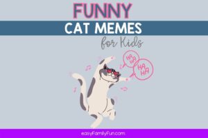 150 Funny Cat Memes For Kids - Easy Family Fun- Print-and-Play Family ...
