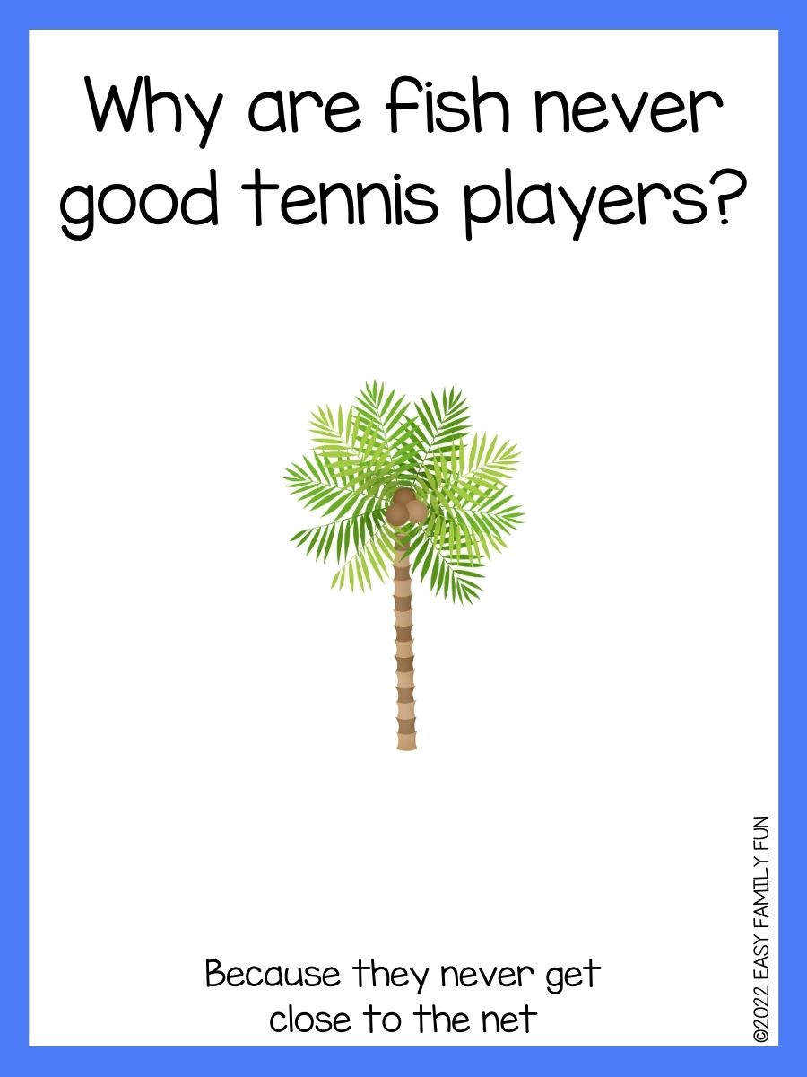 Summer Jokes For Kids - Easy Family Fun- Games, Trivia, and Jokes