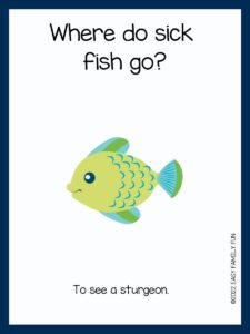 105 Fish Puns - Easy Family Fun- Print-and-Play Family Fun Hub
