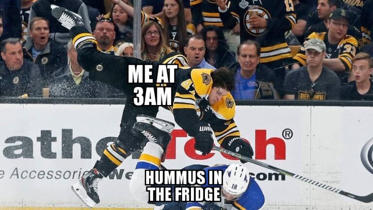 Hockey Puck Memes - Easy Family Fun- Games, Trivia, and Jokes