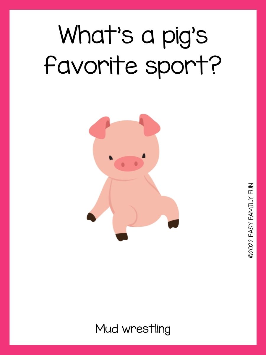 70+ Squealing Pig Riddles You'll Love