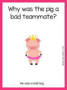 70+ Squealing Pig Riddles You'll Love