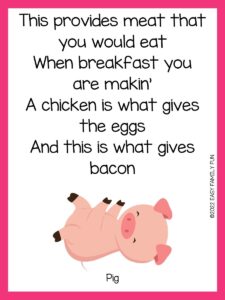 70+ Squealing Pig Riddles You'll Love