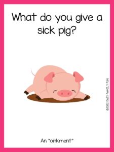 70+ Squealing Pig Riddles You'll Love