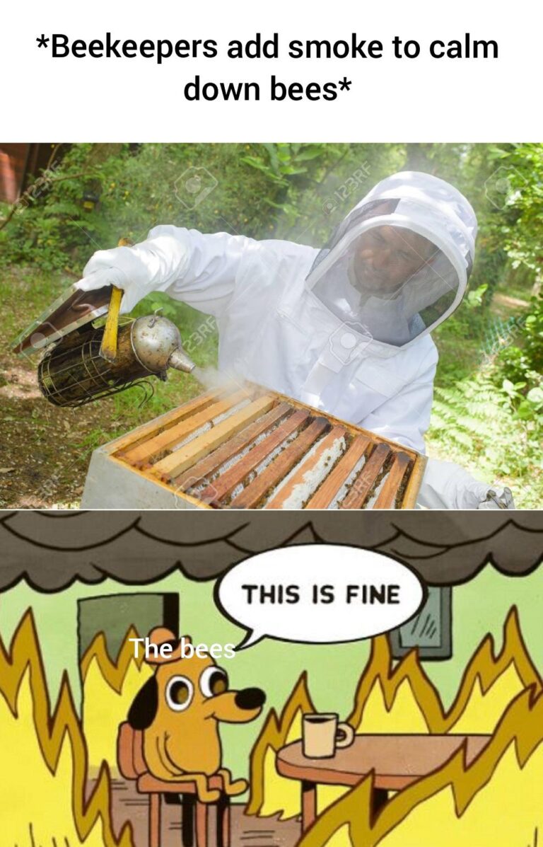 55 Beekeeper Memes - Easy Family Fun- Print-and-Play Family Fun Hub