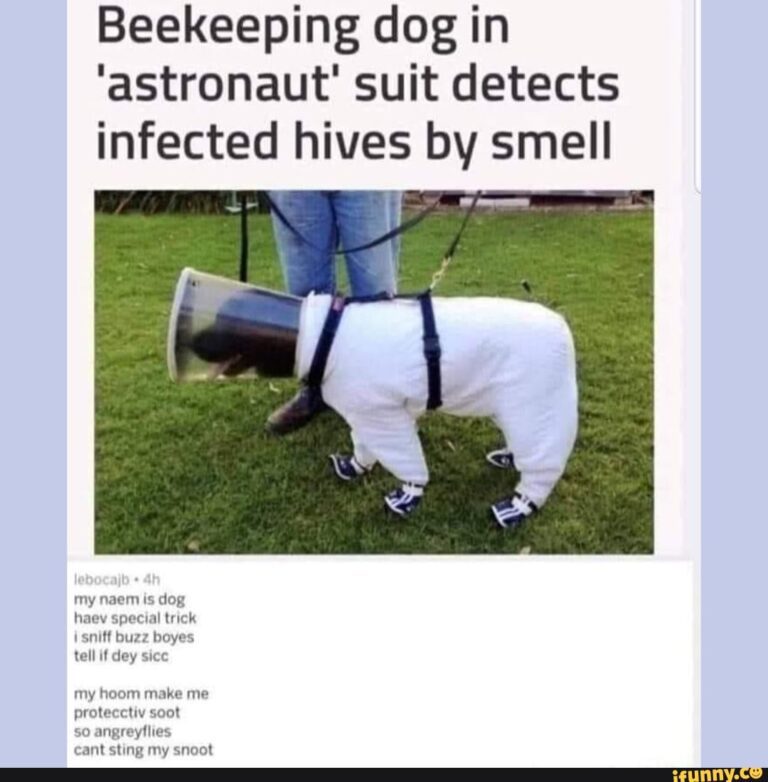 55 Beekeeper Memes - Easy Family Fun- Print-and-Play Family Fun Hub