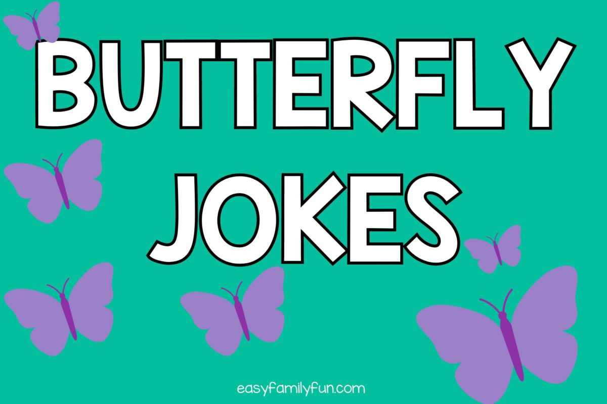 50+ of the Best Butterfly Jokes For Kids
