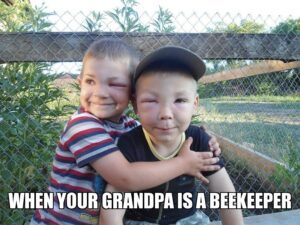 55 Beekeeper Memes - Easy Family Fun- Print-and-Play Family Fun Hub