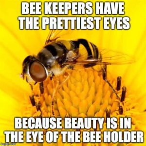 55 Beekeeper Memes - Easy Family Fun- Print-and-Play Family Fun Hub