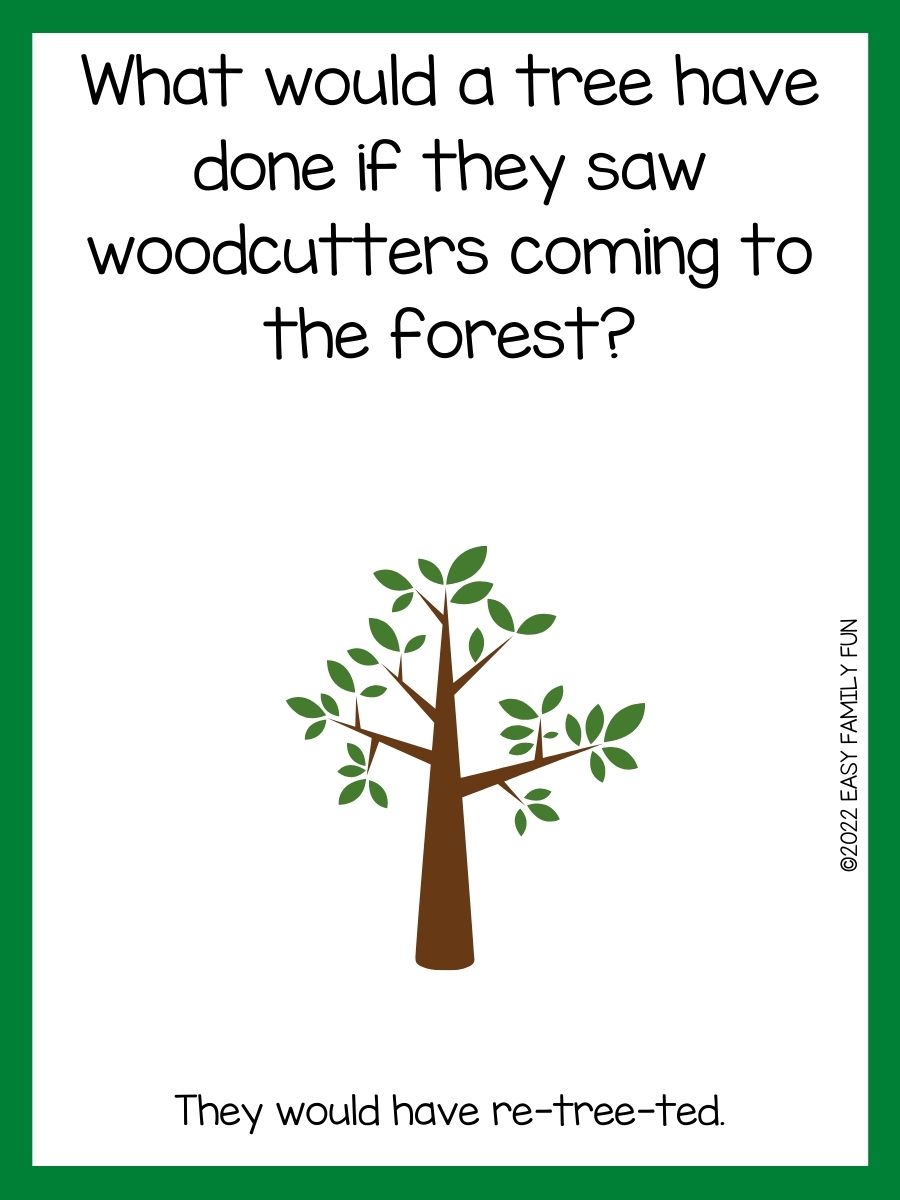 Tree-Mendous Forest Jokes For Kids to Make You Laugh