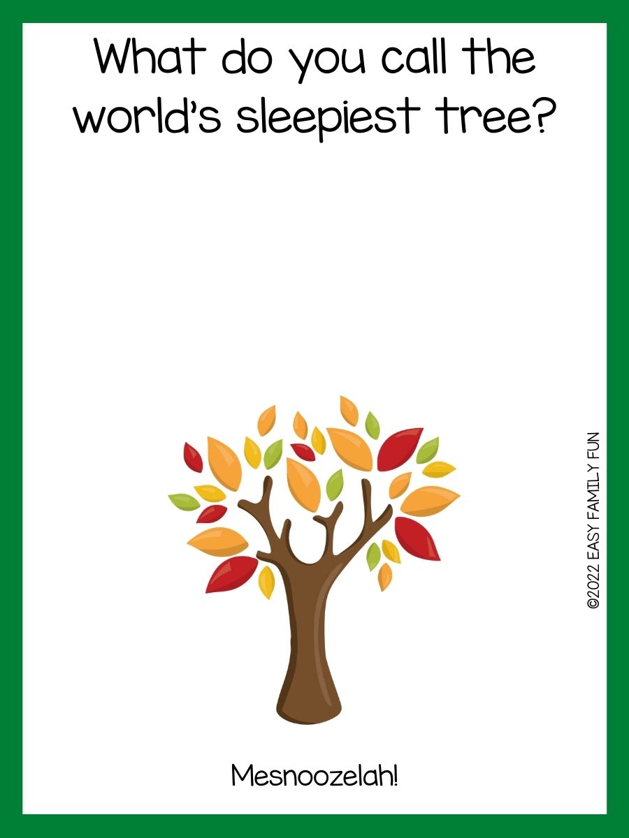 Tree-Mendous Forest Jokes For Kids to Make You Laugh