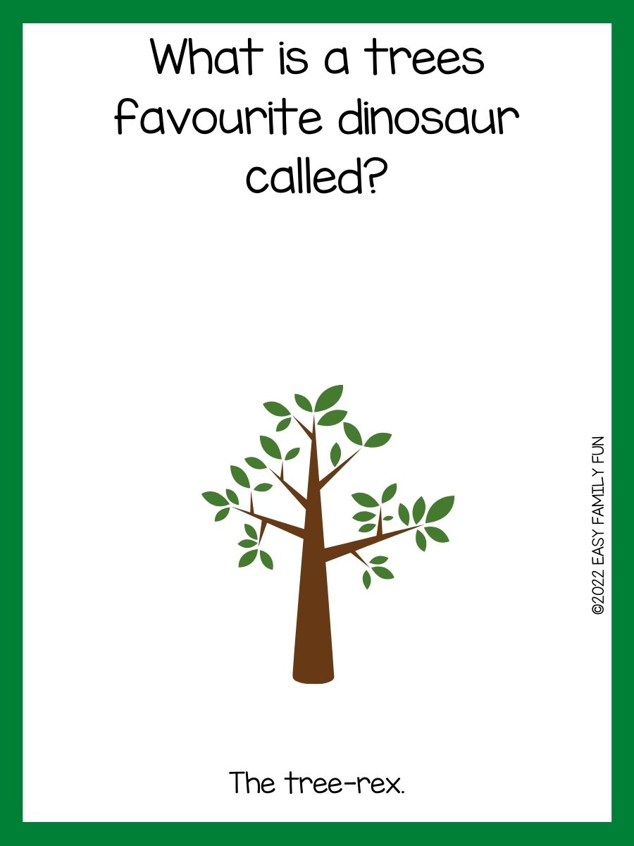 Tree-Mendous Forest Jokes For Kids to Make You Laugh