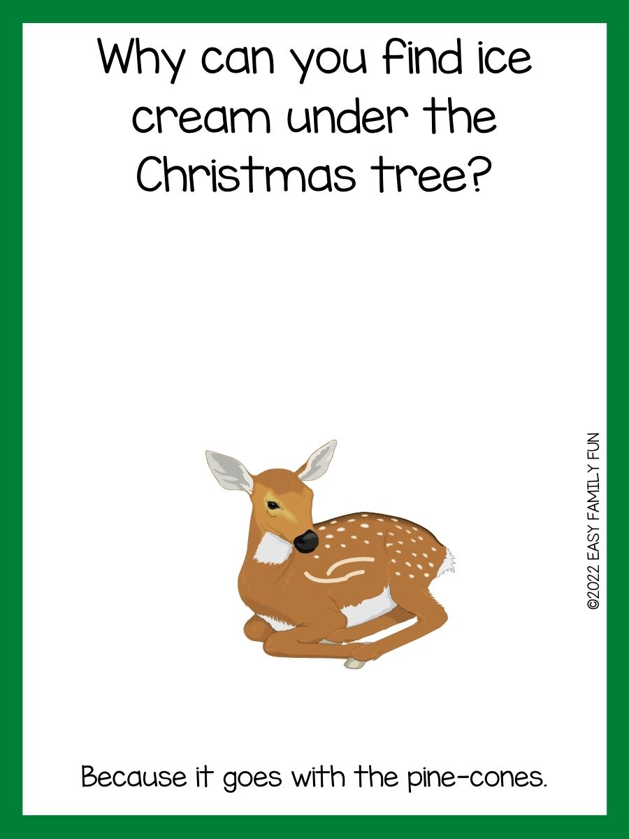 Tree-Mendous Forest Jokes For Kids to Make You Laugh