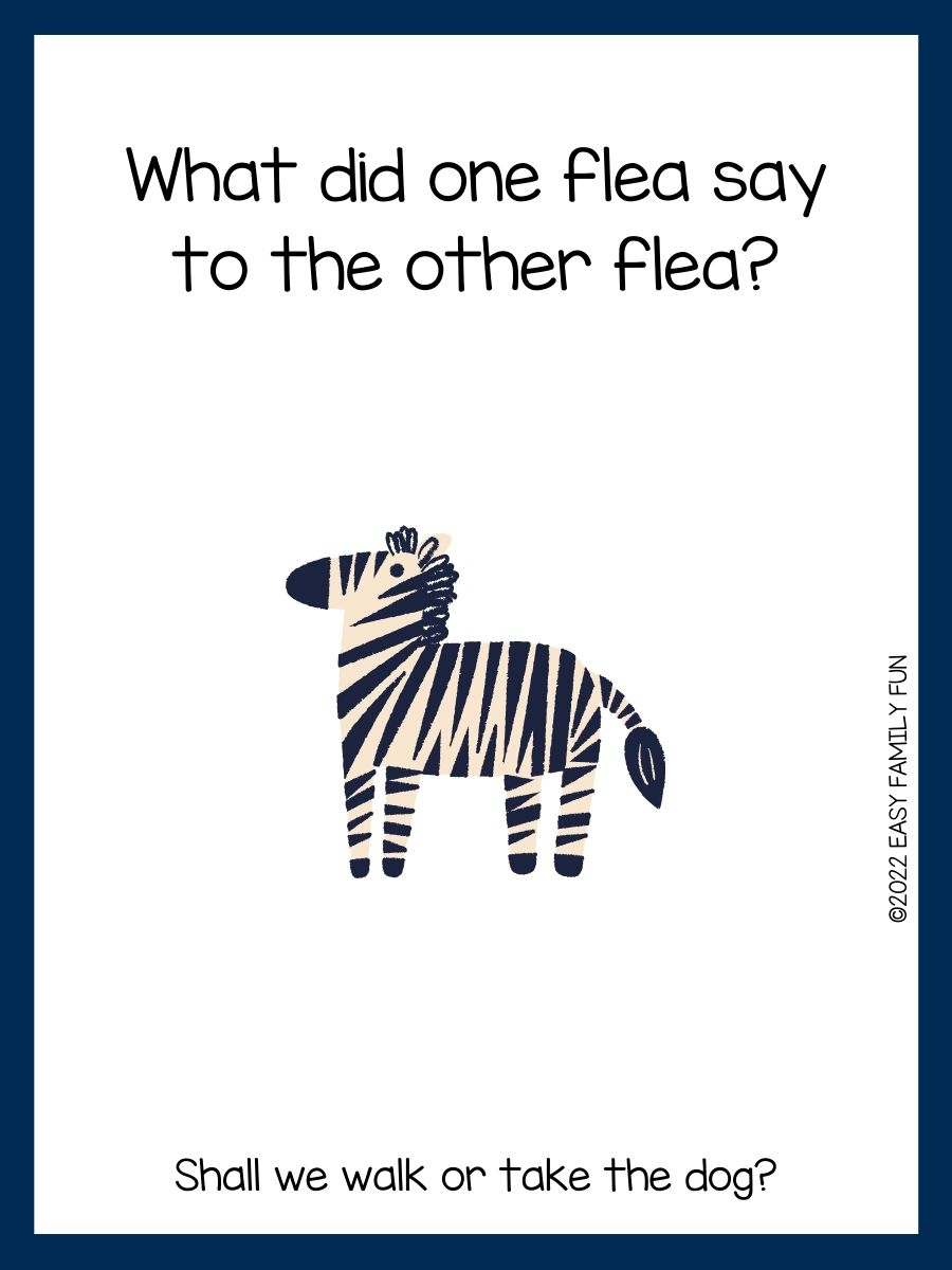 200 Zoo Jokes For Kids That Will Make You Rawr
