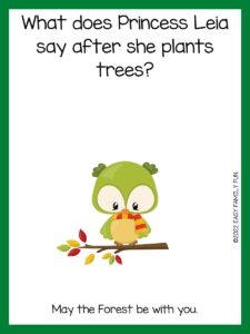 Tree-Mendous Forest Jokes For Kids to Make You Laugh