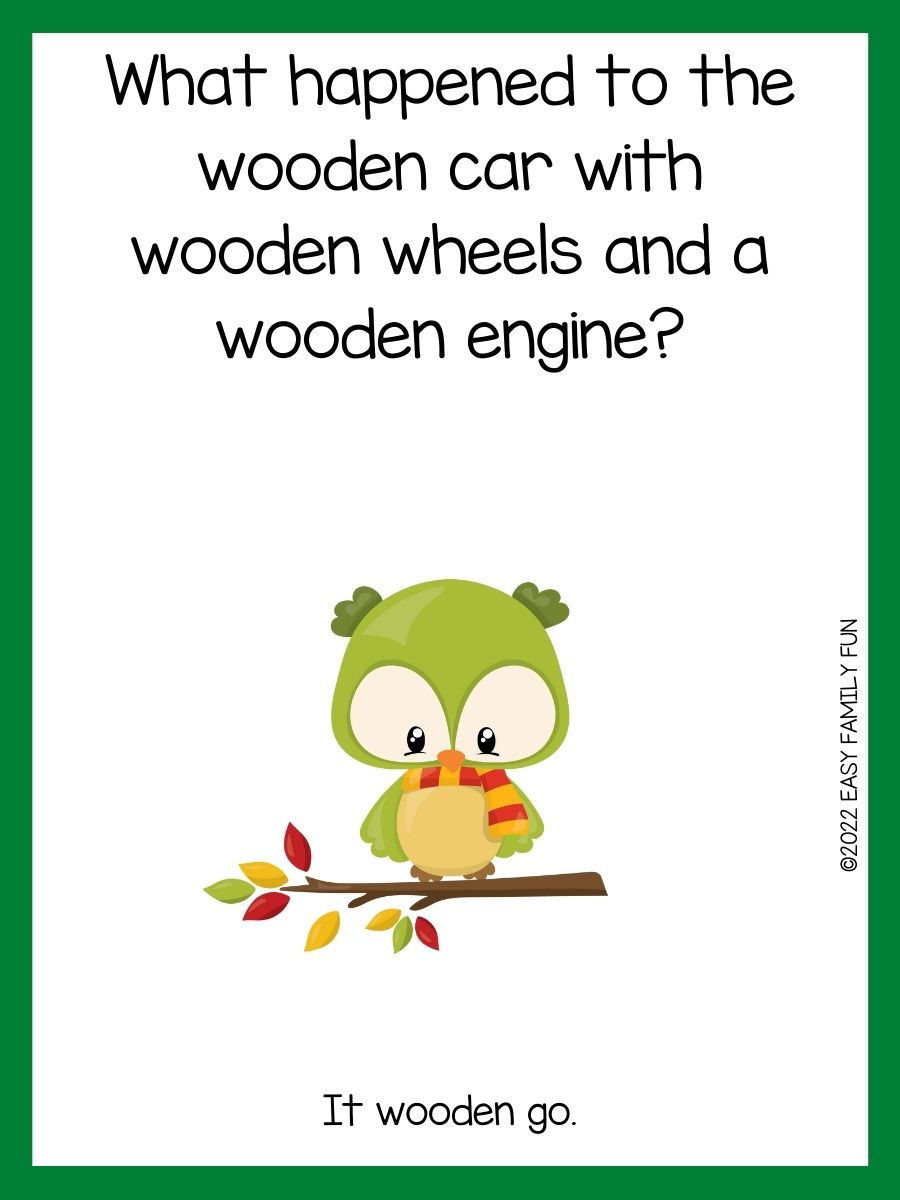 Tree-Mendous Forest Jokes For Kids to Make You Laugh