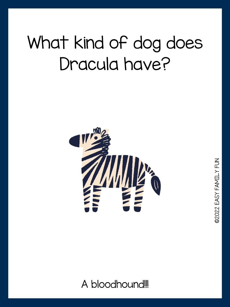 200 Zoo Jokes For Kids That Will Make You Rawr