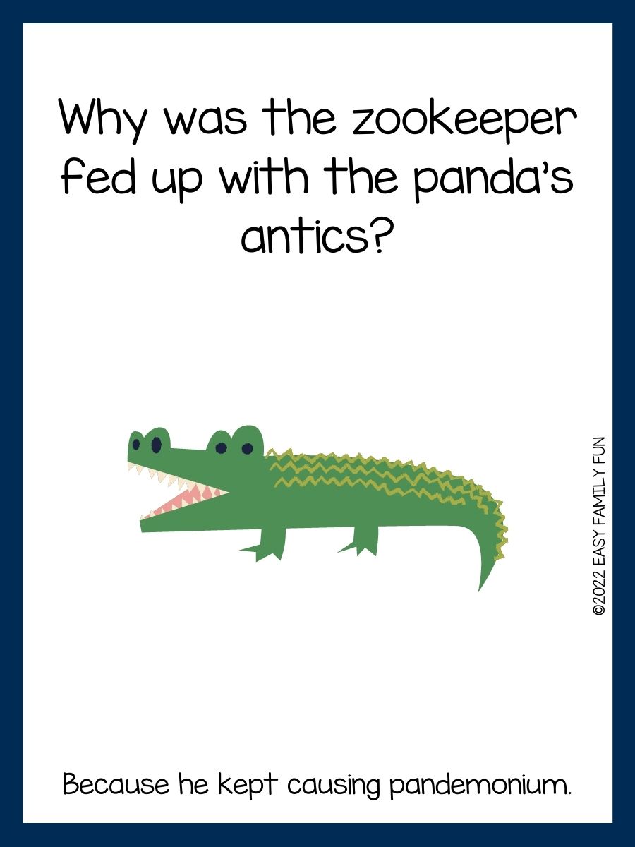 200 Zoo Jokes For Kids That Will Make You Rawr