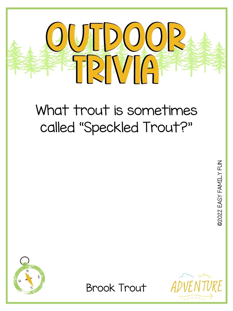 135 Best Outdoor Trivia Questions with Answers for Kids