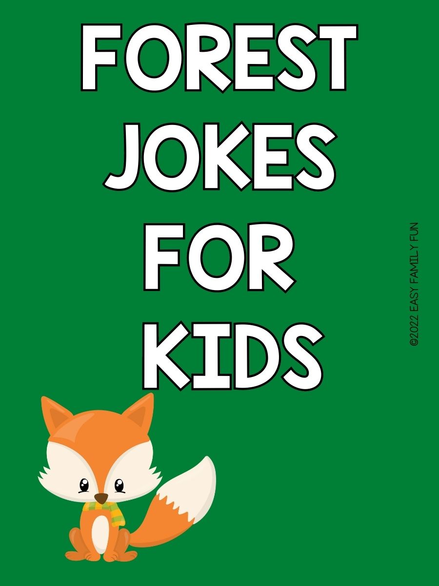 Tree-Mendous Forest Jokes For Kids to Make You Laugh
