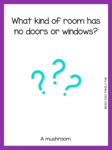 150+ Best Riddles For Kids To Make Everyone Smile