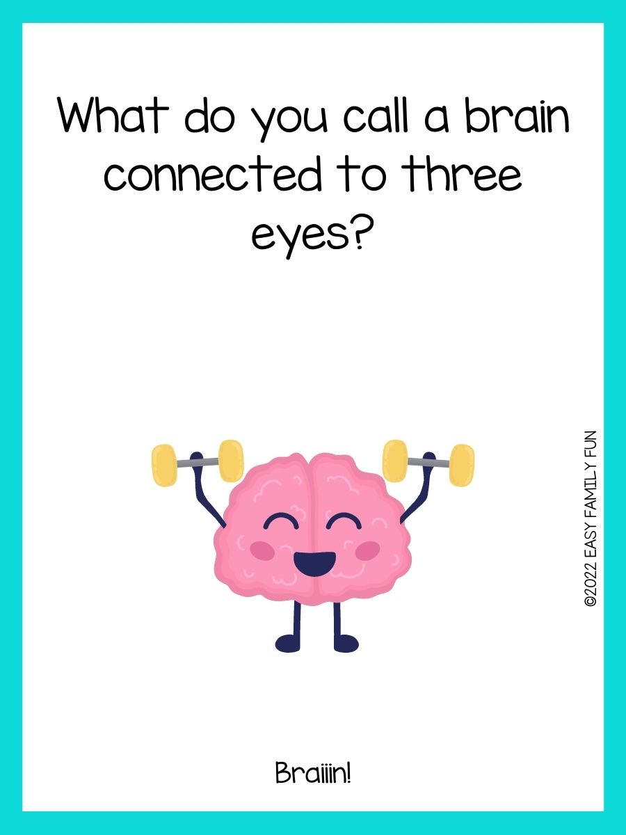 Brain Jokes For Kids - Easy Family Fun- Games, Trivia, and Jokes