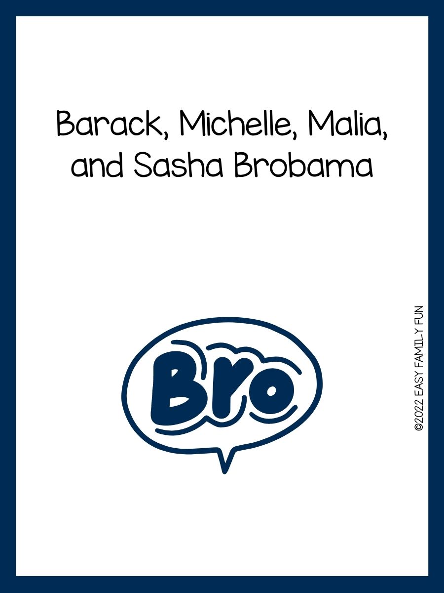 255+ Bro Puns that are Bro-Tastic! - Easy Family Fun- Games, Trivia ...