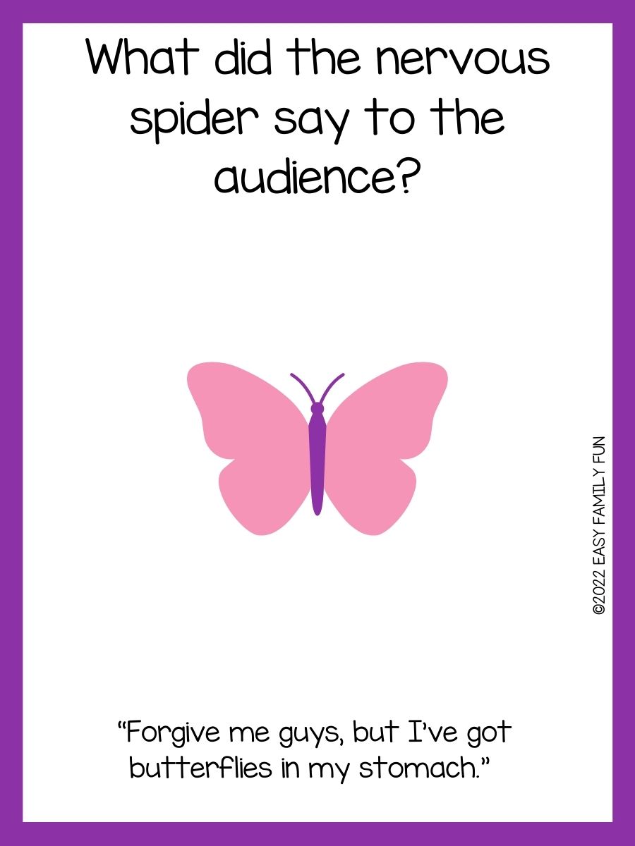 50+ of the Best Butterfly Jokes For Kids