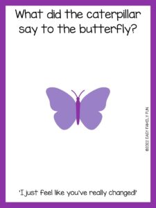 50+ of the Best Butterfly Jokes For Kids
