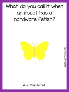 50+ of the Best Butterfly Jokes For Kids