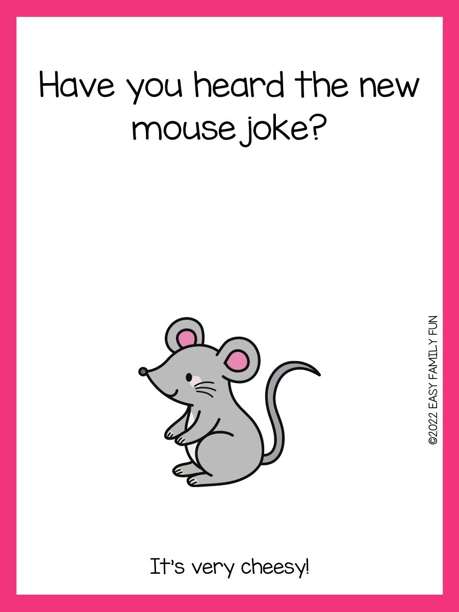 The Best Mouse Jokes For Kids That Make You Squeak!