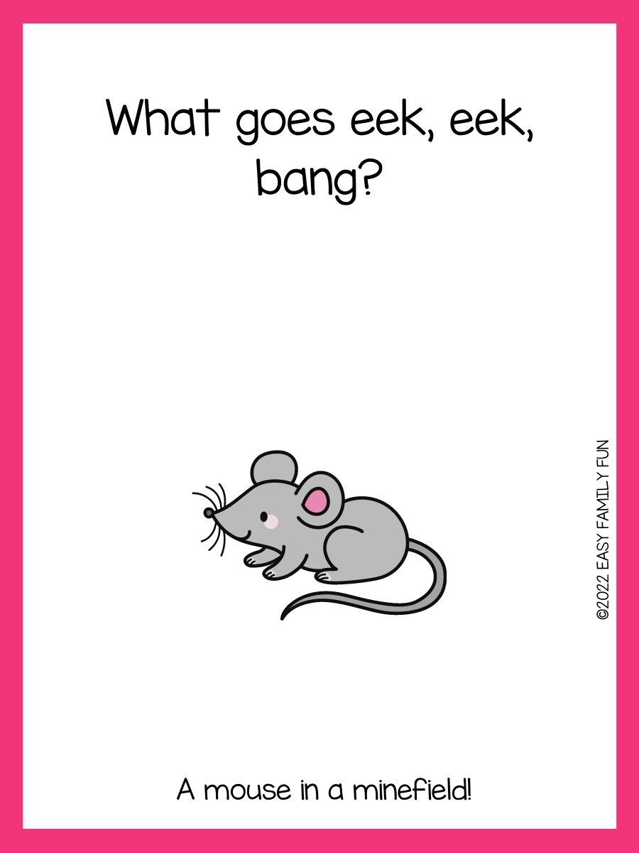 The Best Mouse Jokes For Kids That Make You Squeak!