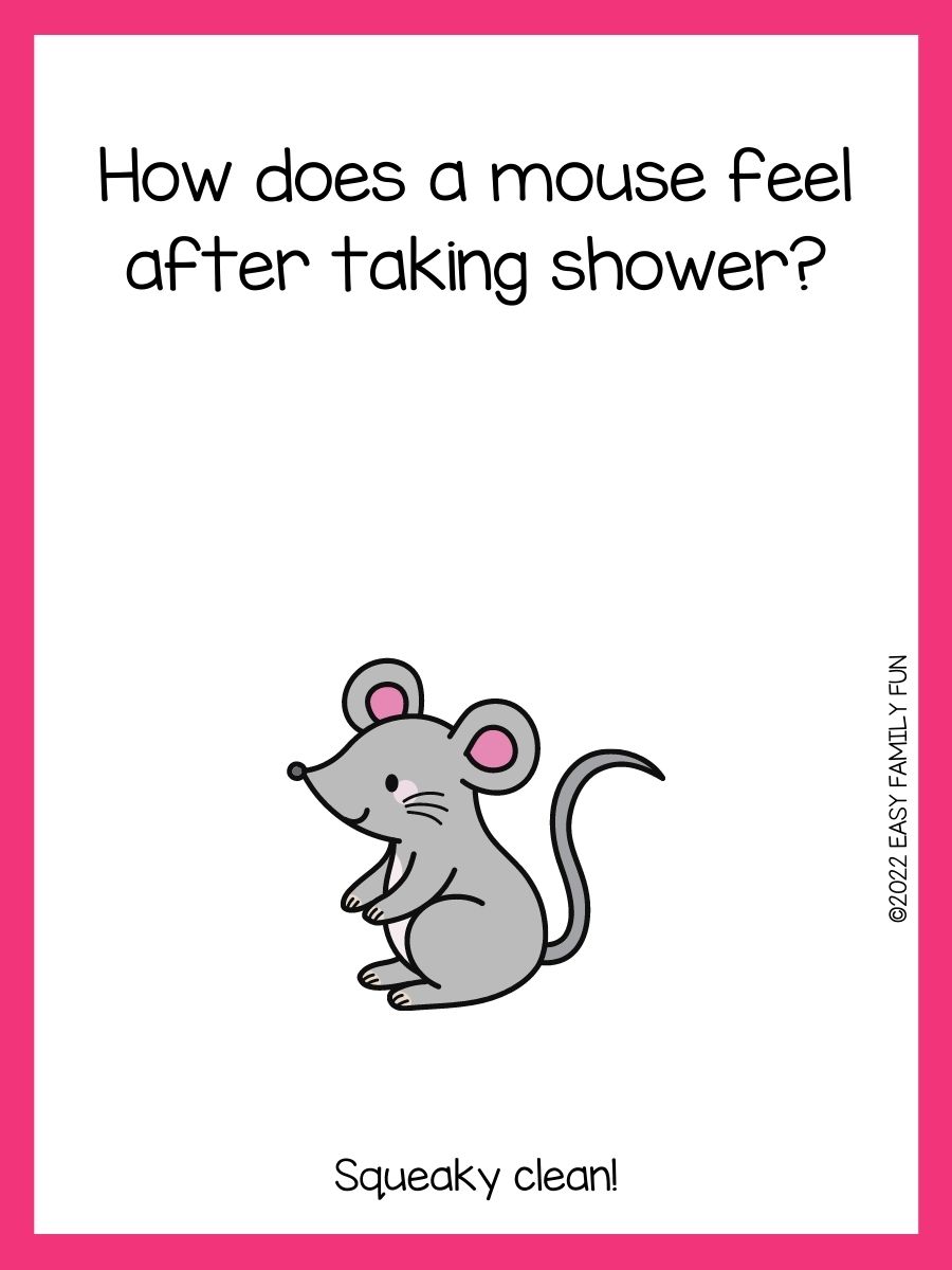 The Best Mouse Jokes For Kids That Make You Squeak!