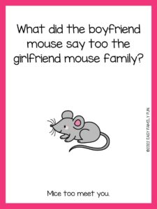 The Best Mouse Jokes For Kids That Make You Squeak!