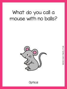 The Best Mouse Jokes For Kids That Make You Squeak!