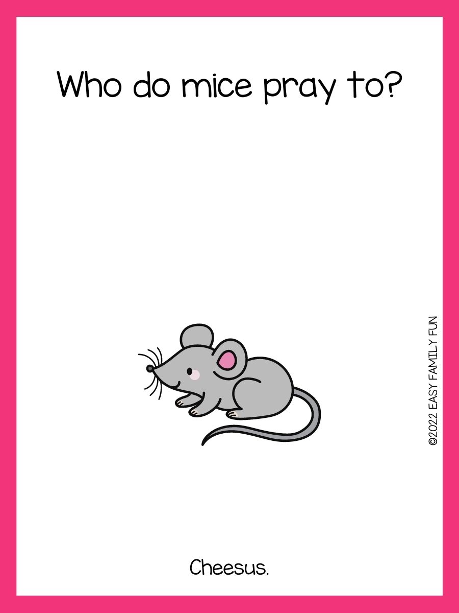The Best Mouse Jokes For Kids That Make You Squeak!