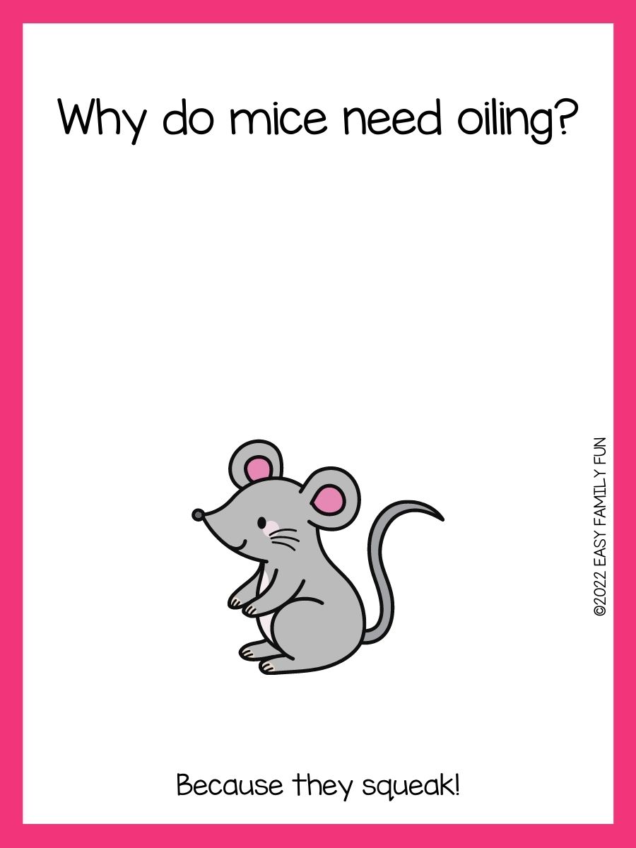 The Best Mouse Jokes For Kids That Make You Squeak!