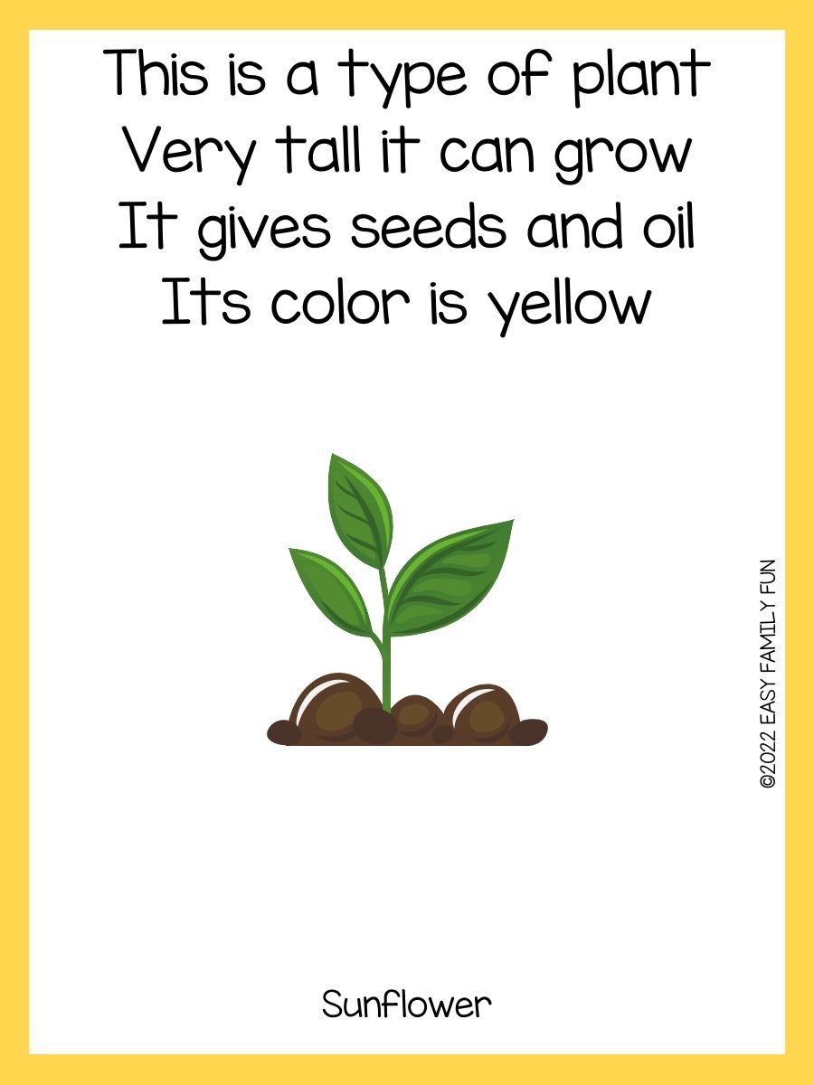 75 Best Plant Riddles For Kids