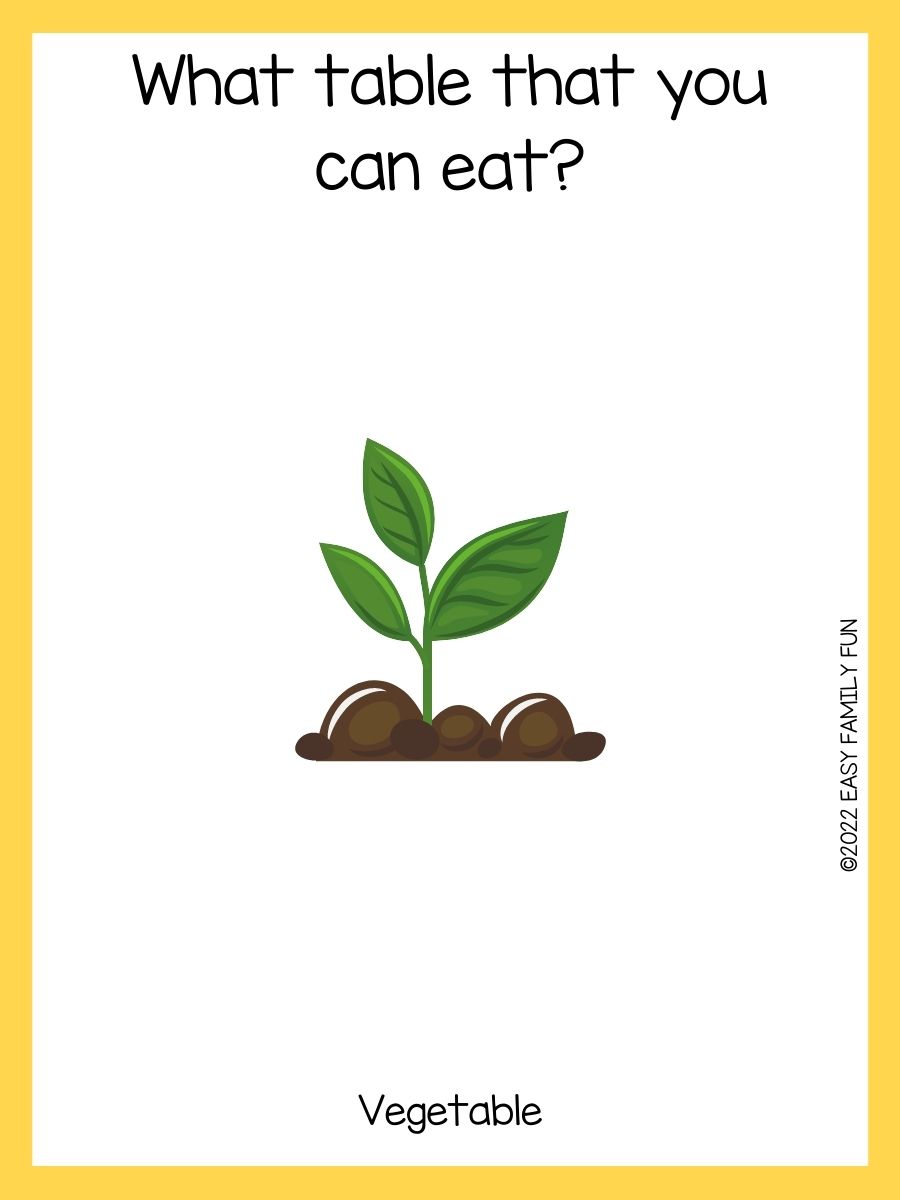 75 Best Plant Riddles For Kids
