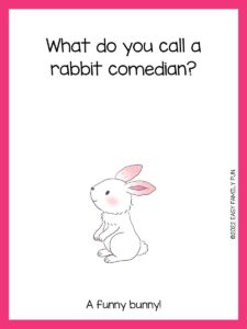 65 The Best Rabbit Riddles For Kids That Make You Hop!