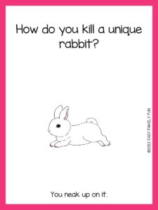 65 The Best Rabbit Riddles For Kids That Make You Hop!
