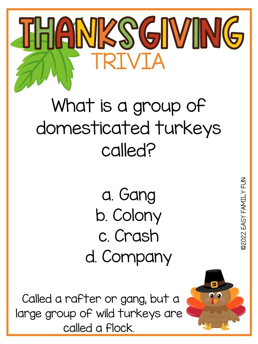 50 Festive Multiple Choice Thanksgiving Trivia Questions for Kids with ...
