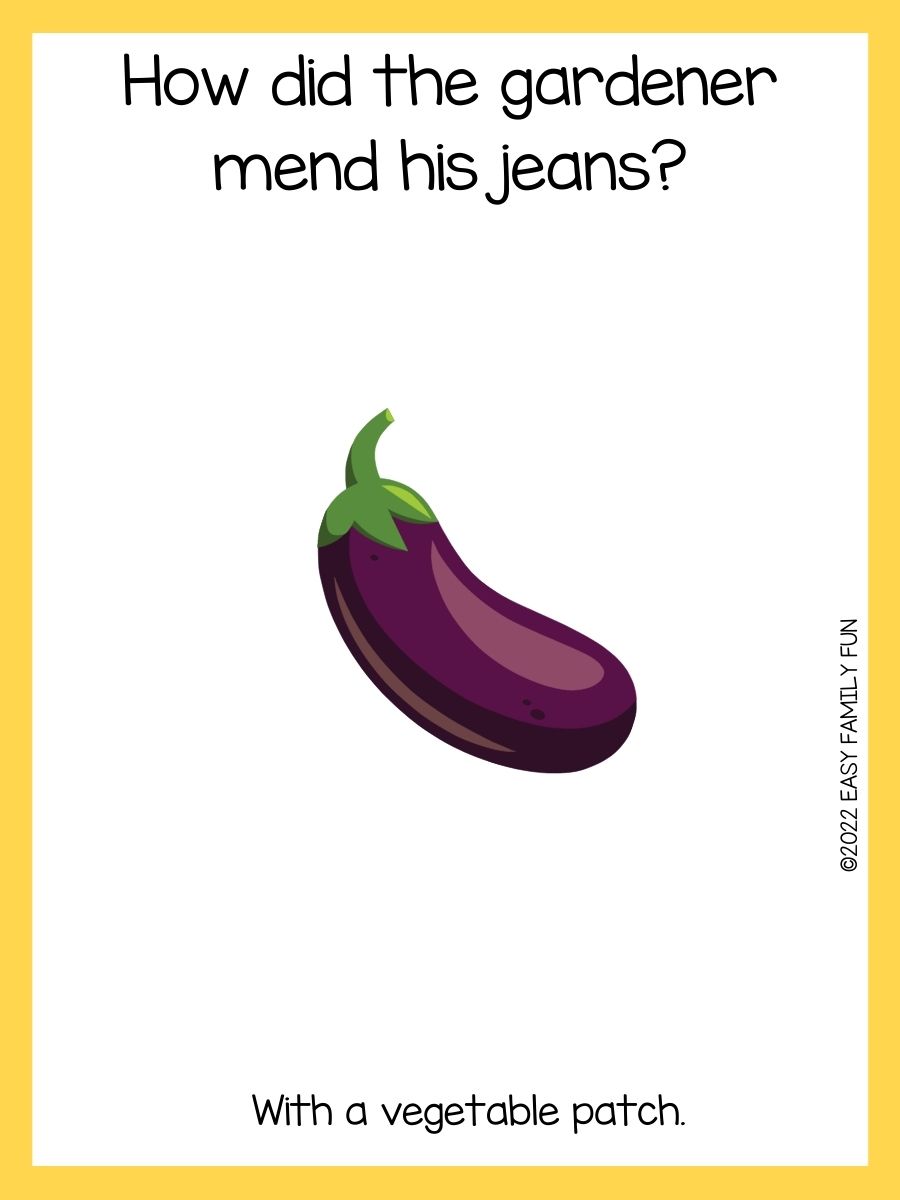 210 Vegetable Jokes for Kids - Easy Family Fun- Games, Trivia, and Jokes