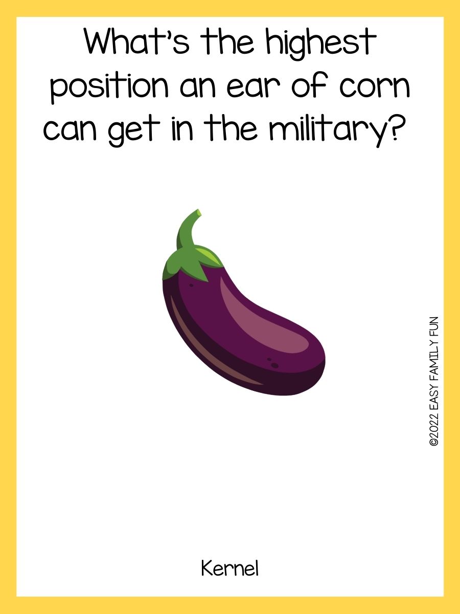 210 Vegetable Jokes for Kids - Easy Family Fun- Games, Trivia, and Jokes