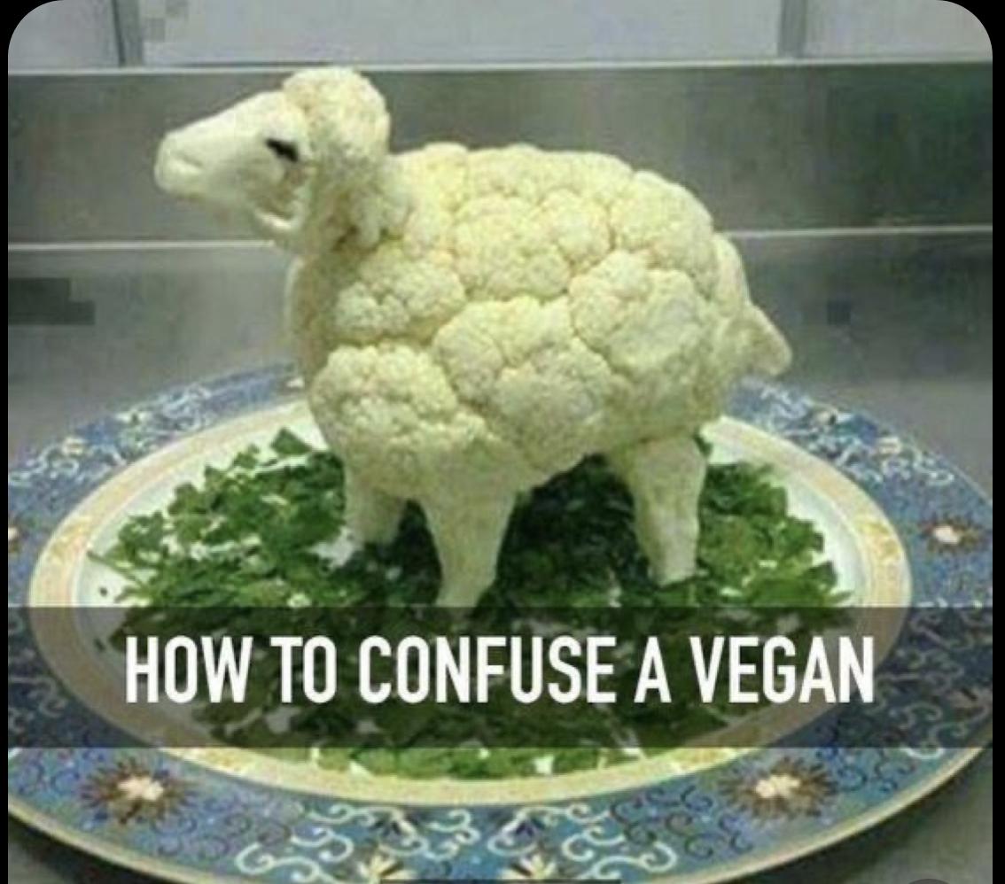 145 Animal Memes That Will Make You Laugh Hysterically