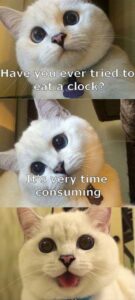 145 Animal Memes That Will Make You Laugh Hysterically