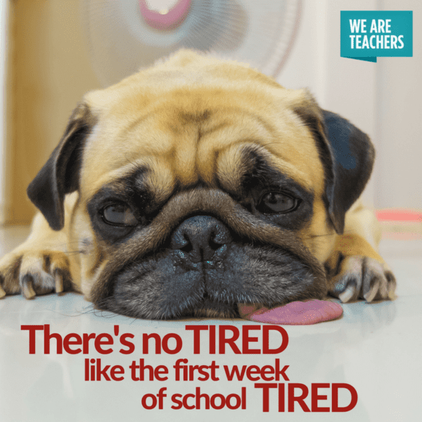 100 Hilarious Back To School Teacher Memes