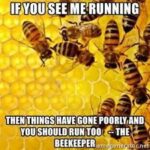 30 Beehive Memes That Are So Funny