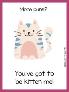 160 Awesome Cat Puns Are Purr-fect!